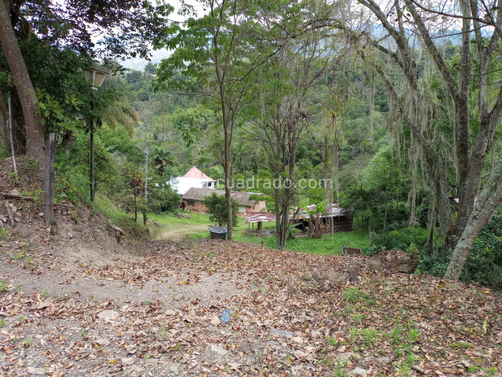 Venta de Finca - Pacho - 10278-M5410237