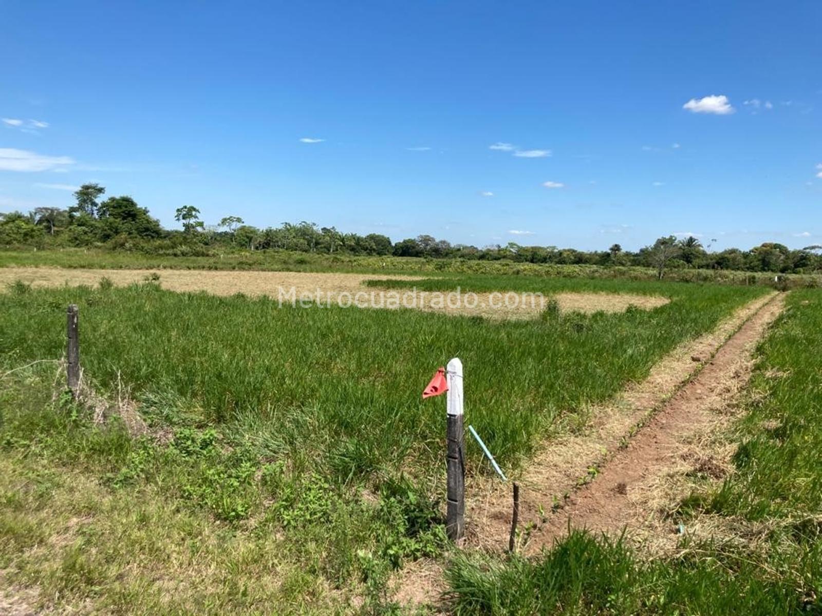 Venta de Casa lote en Vereda la llanerita - Villavicencio - 10920-M4502212