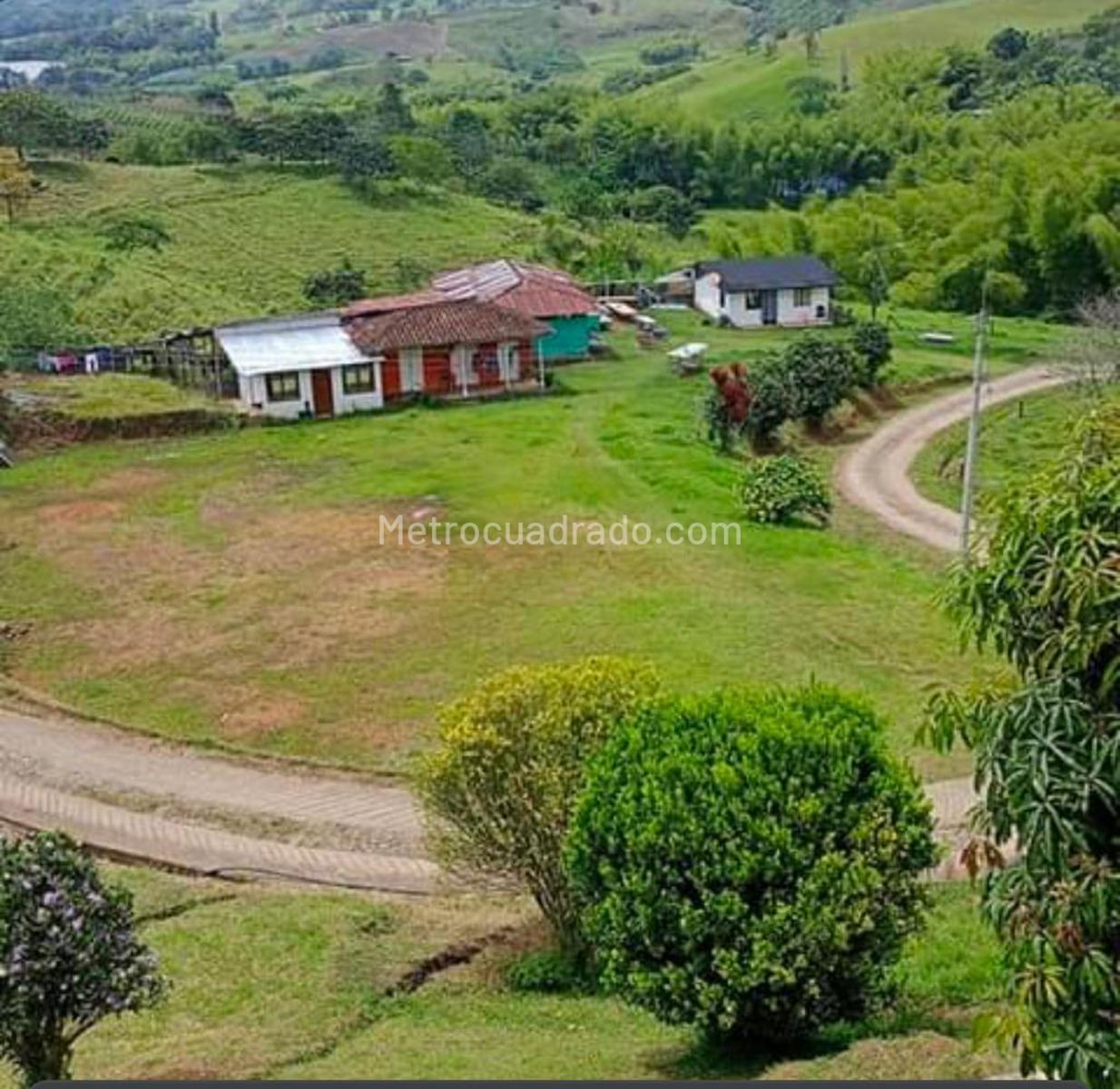 Venta de Finca - Calima - 14990-M4303650