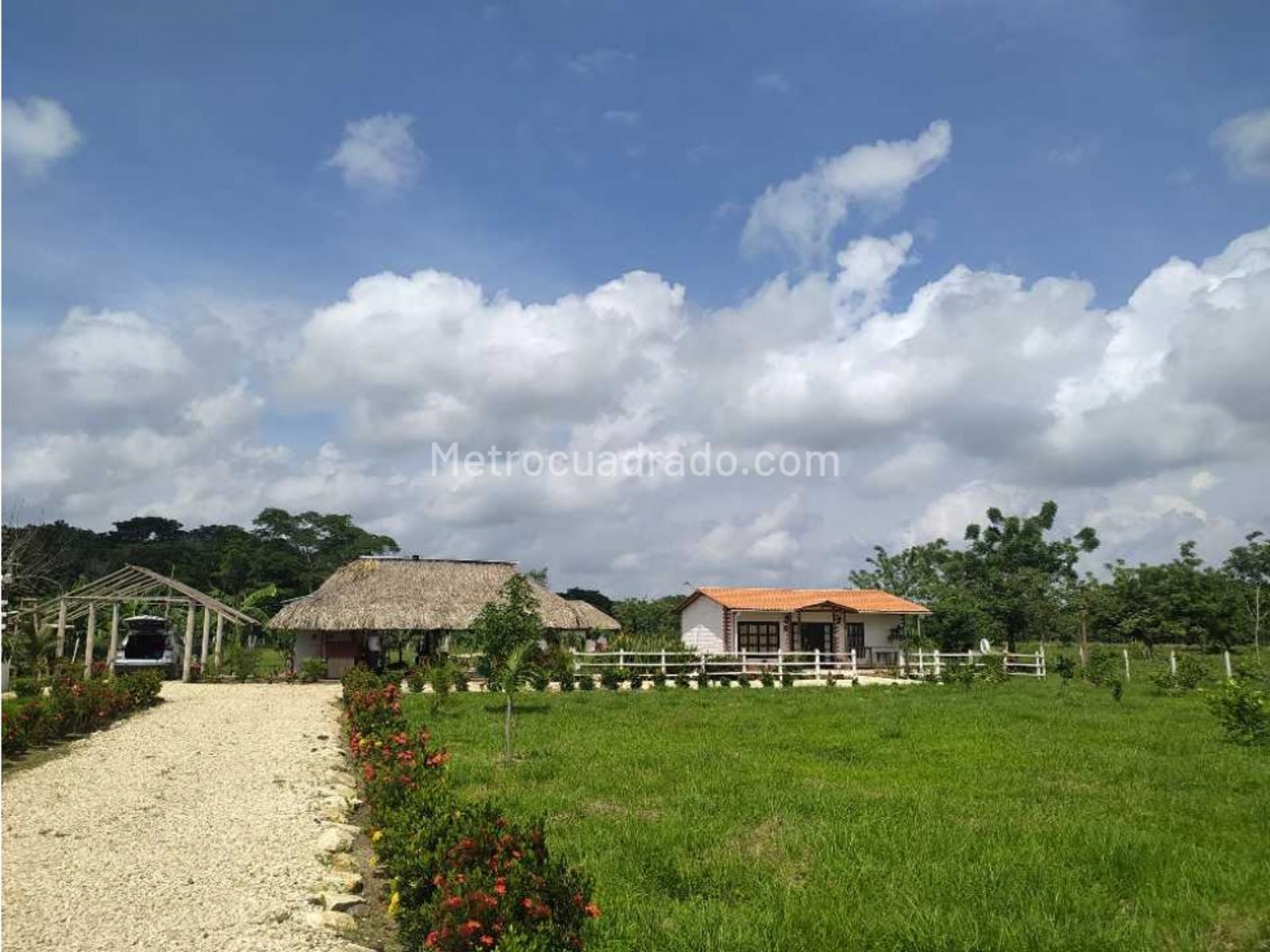 Venta de Finca en Vereda campo bello - Chima - 15999-M4437545