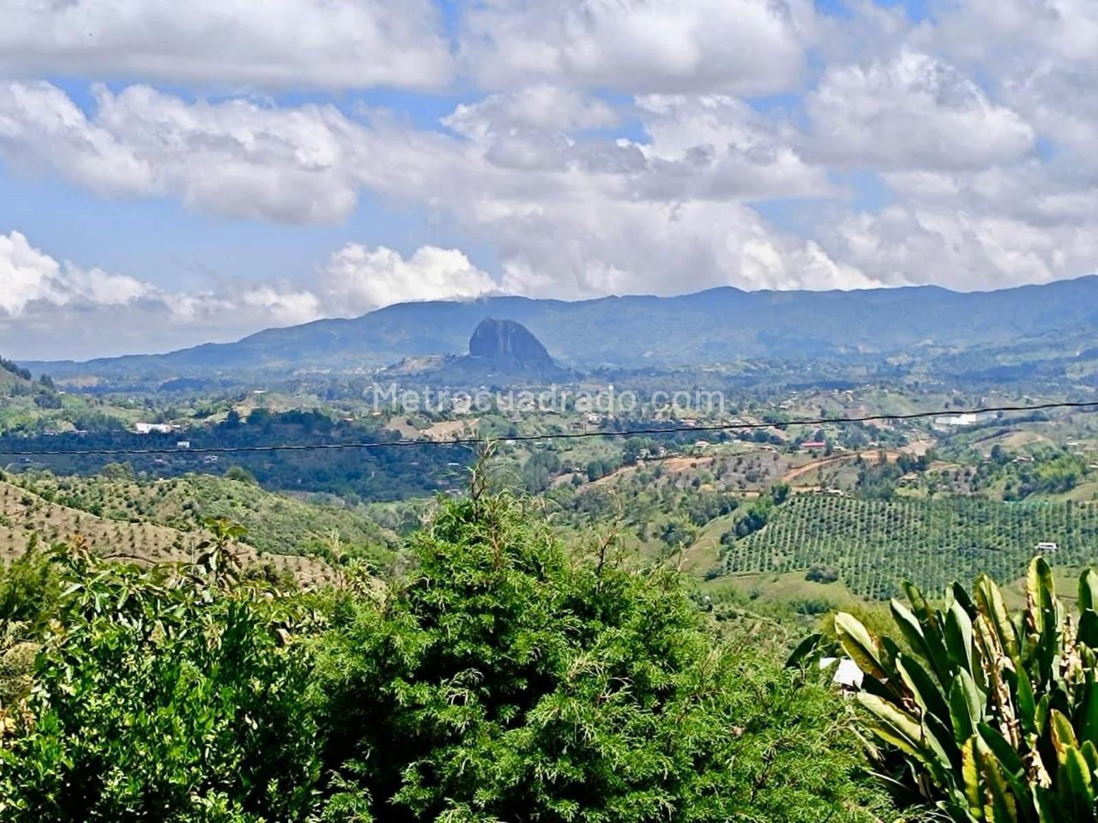 Venta de Finca en El peñol - Guatape - 16061-M4811459