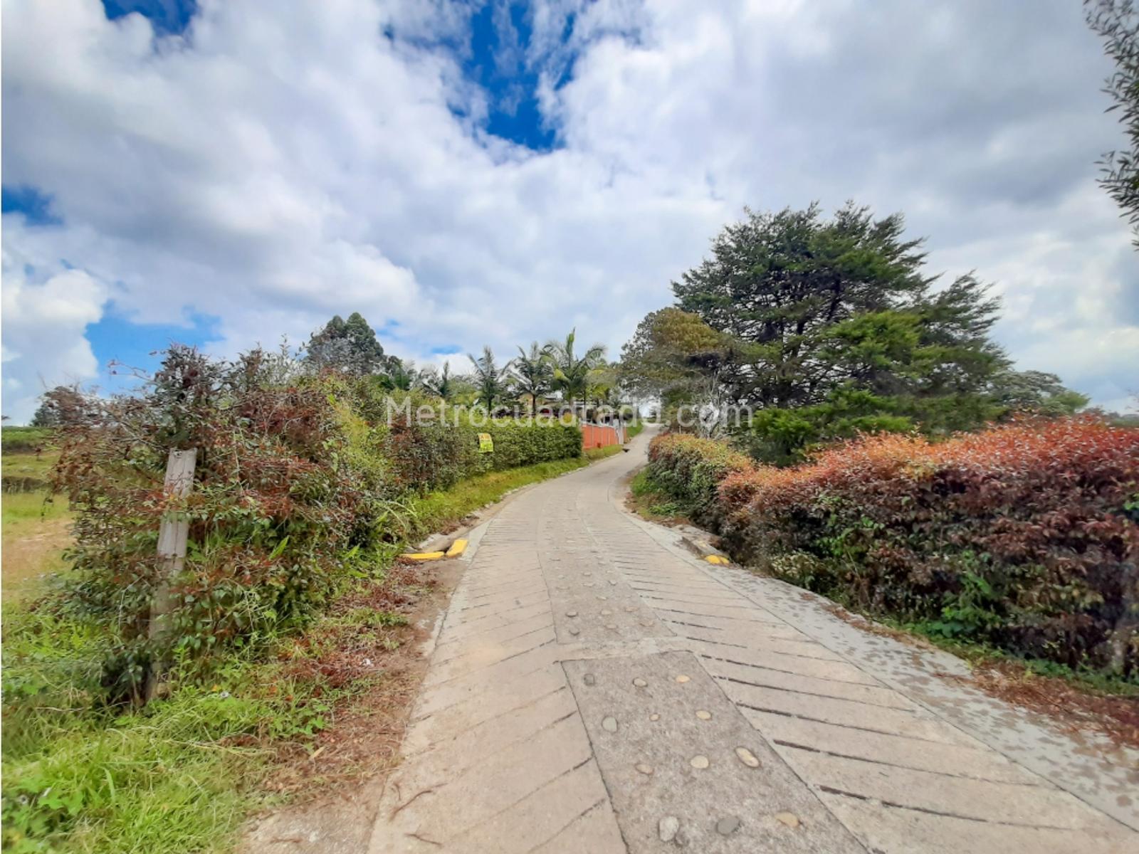 Venta de Lote o Casalote en El peñol - Peñol - 16209-M4882126