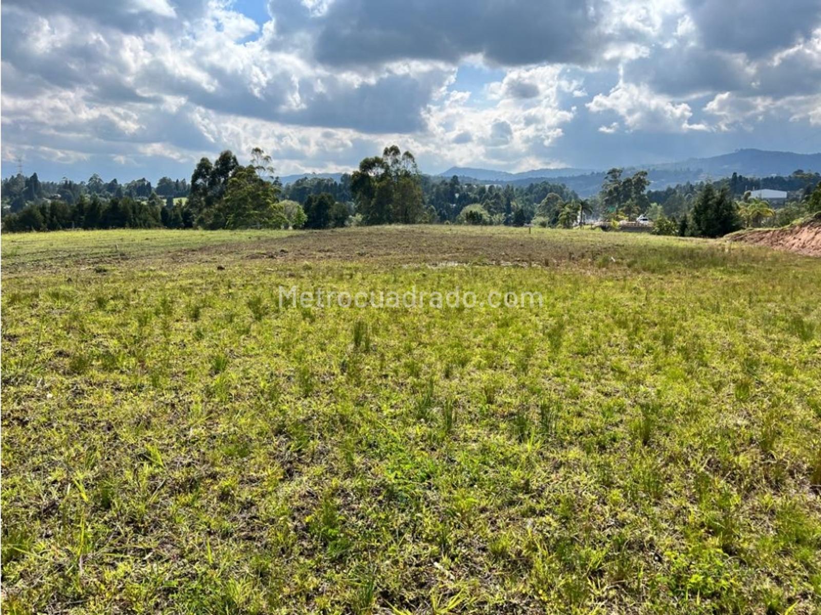 Venta de Casa lote en Autopista zona industrial - Guarne - 16420-M4615346