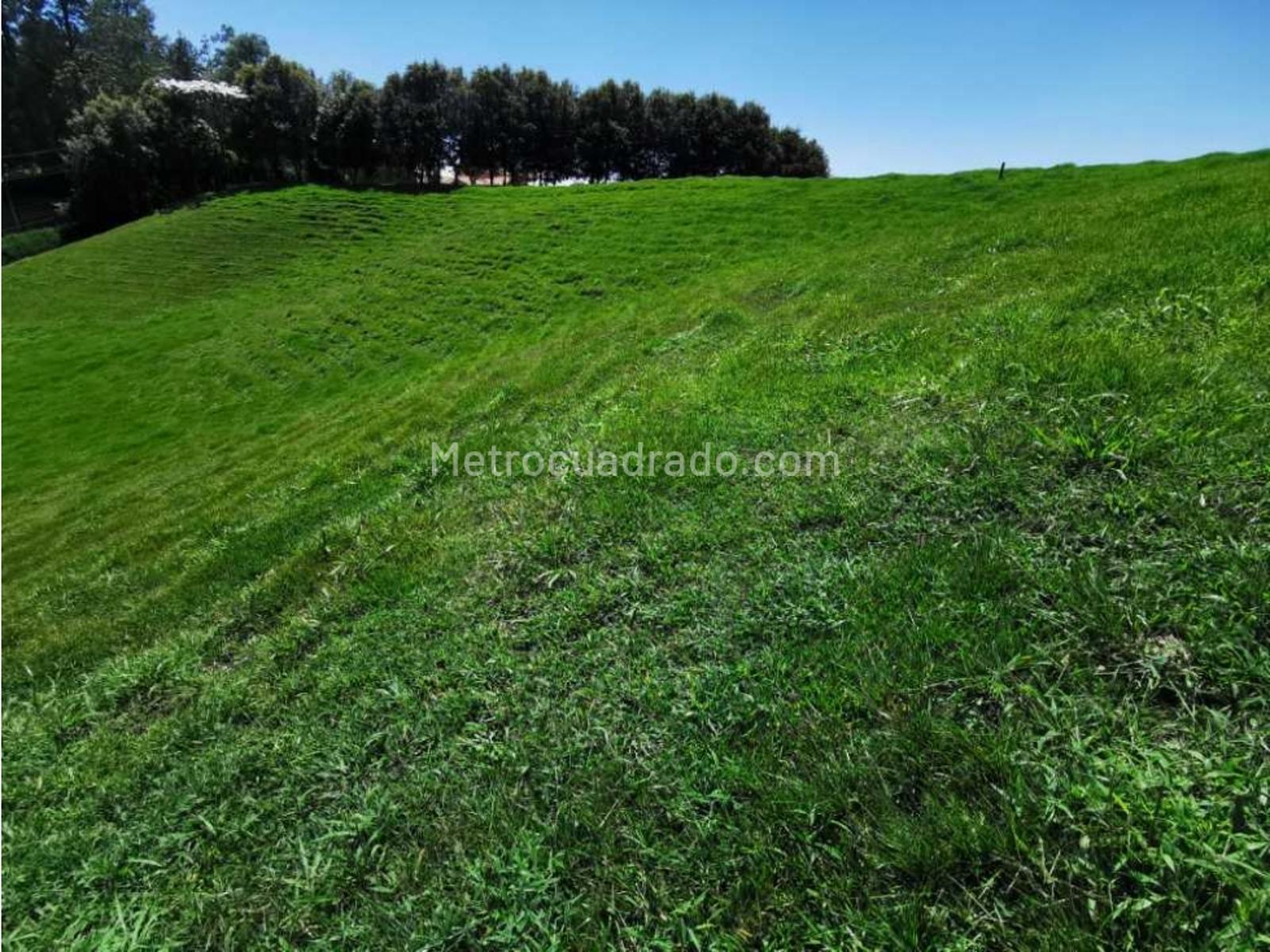 Venta de Casa lote en Sector la maria - Retiro - 16420-M4615604