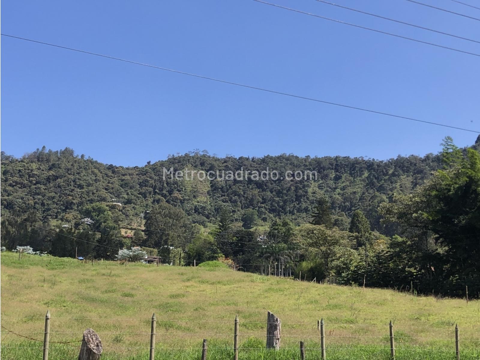 Venta de Lote en Via don diego llanogrande - Rionegro - 16420-M5732770