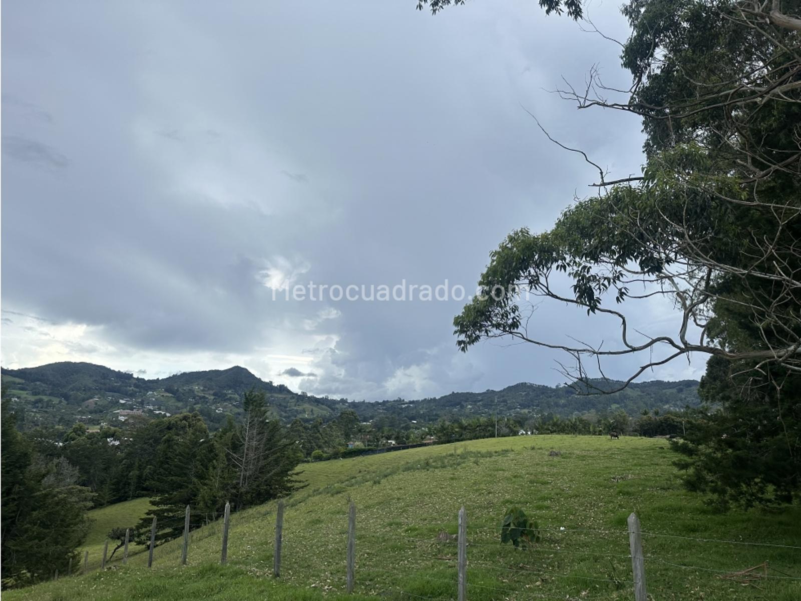 Venta de Lote en Pontezuela - Rionegro - 16420-M5750751