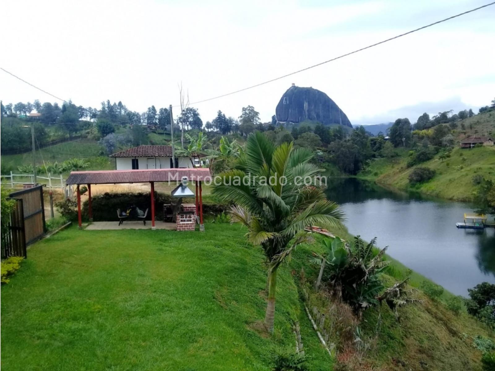 Venta de Finca en Palestina - Peñol - 16958-M4882319