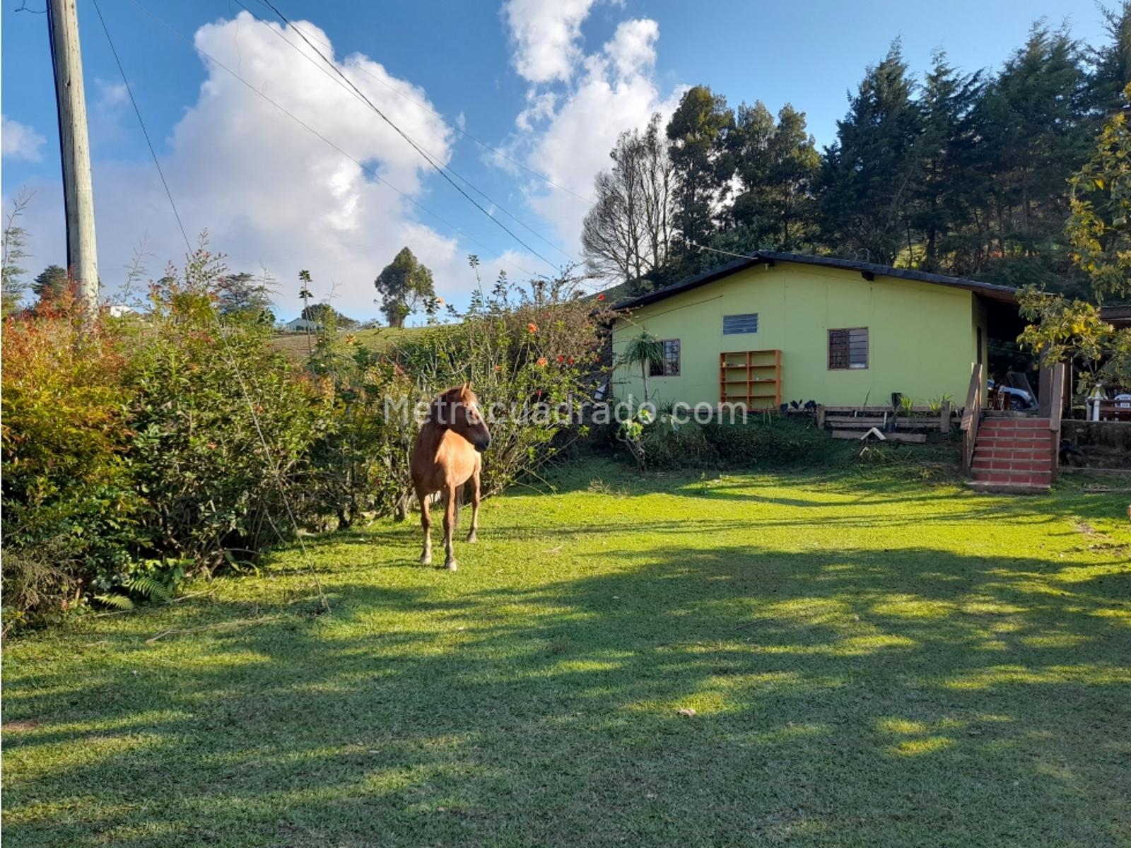 Venta de Finca en Vereda el socorro - Marinilla - 17365-M5772820