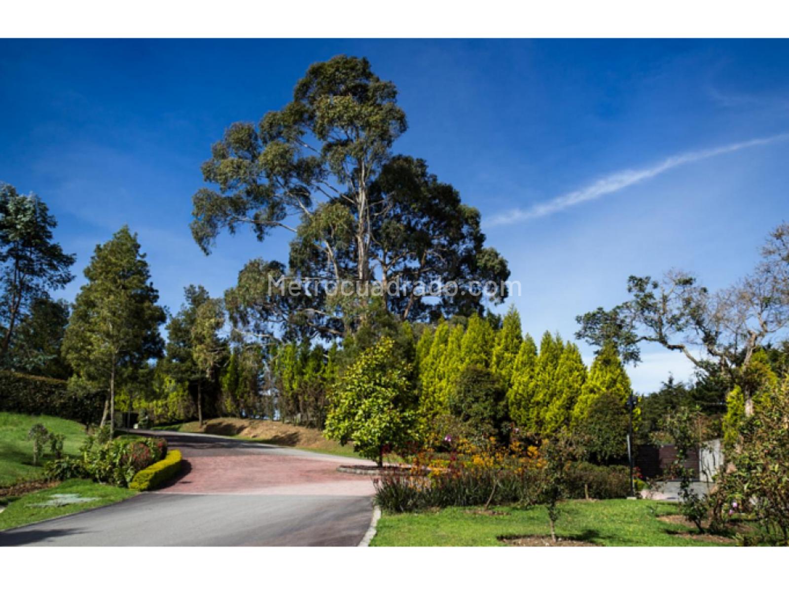 Venta de Lote en Alto de las palmas - Envigado - 17593-M5200099