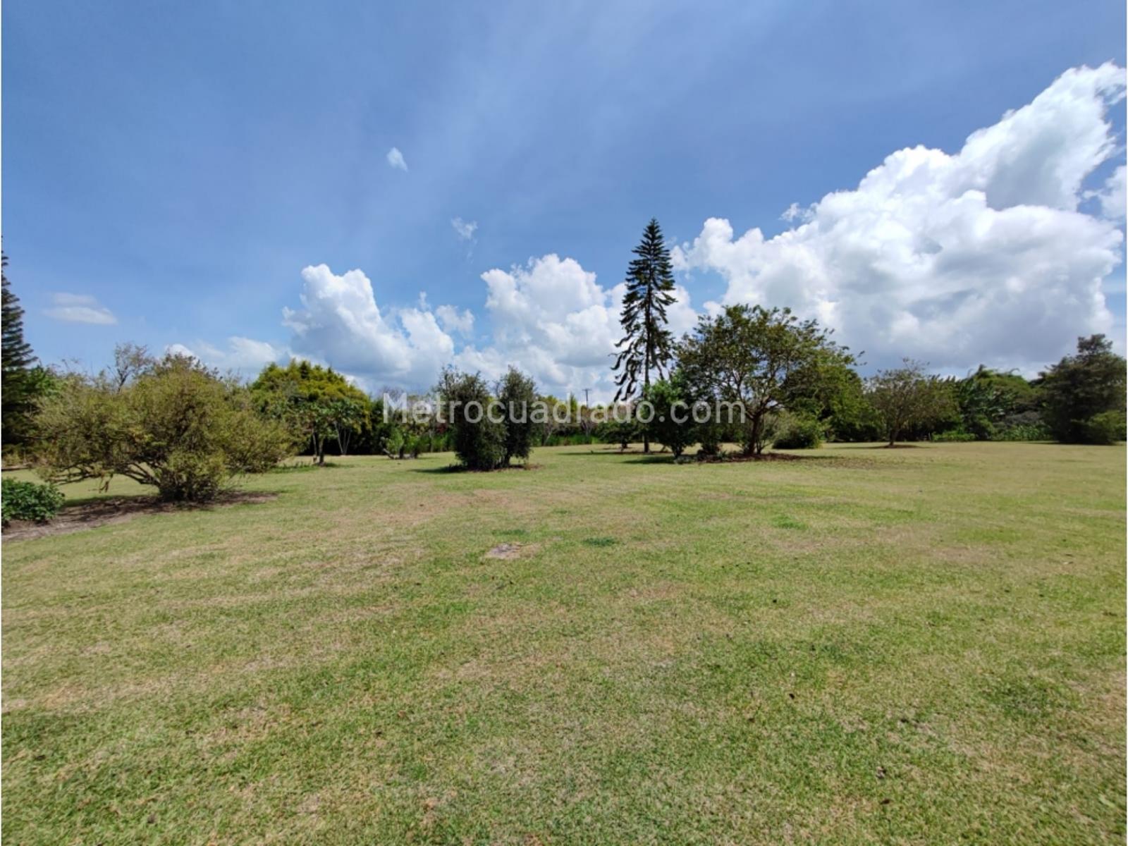 Venta de Lote en Llanogrande - Rionegro - 17593-M5252415