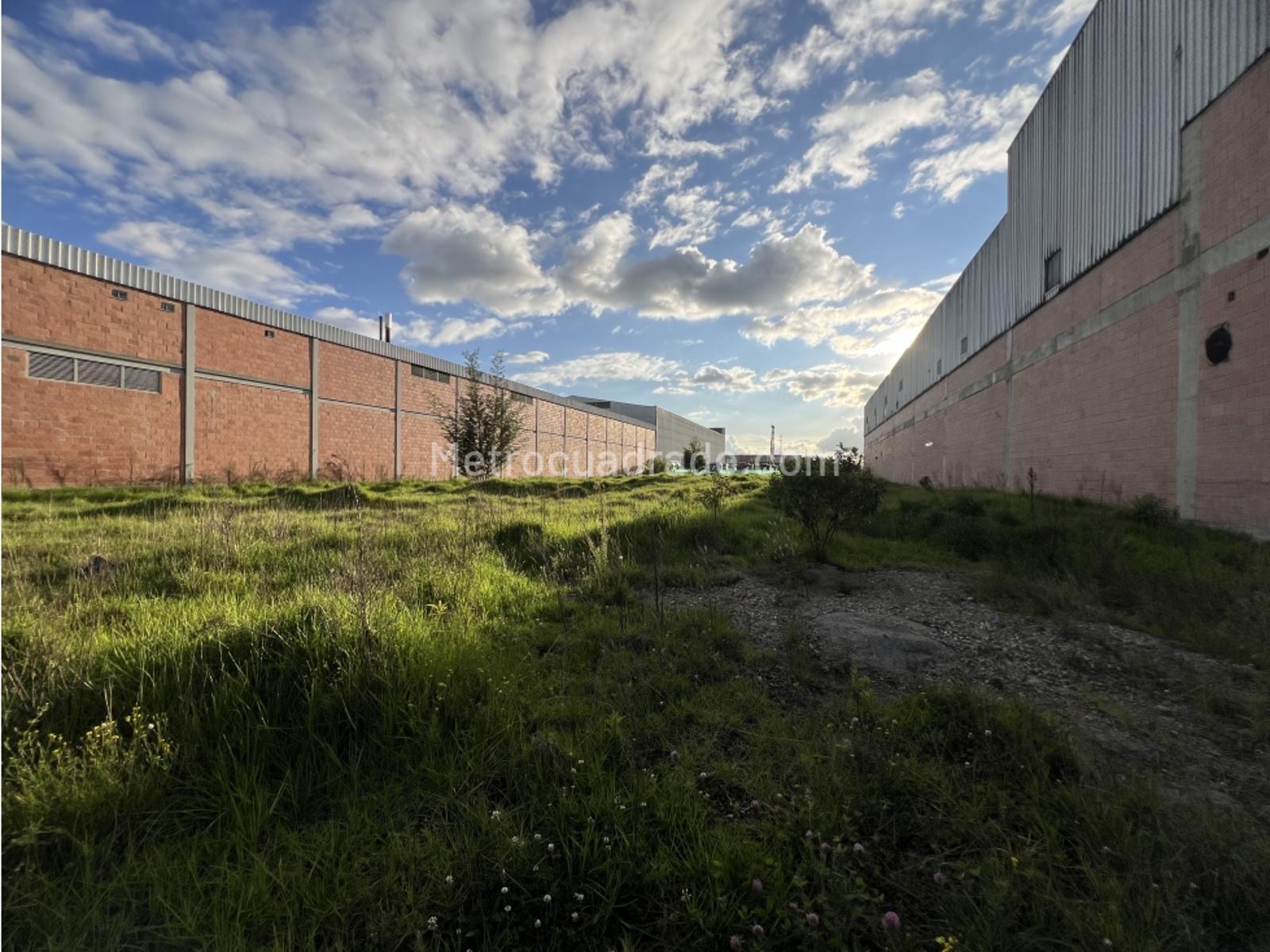 Venta de Lote en Via siberia cota - Cota (Incluye Siberia) - 17754-M5710137