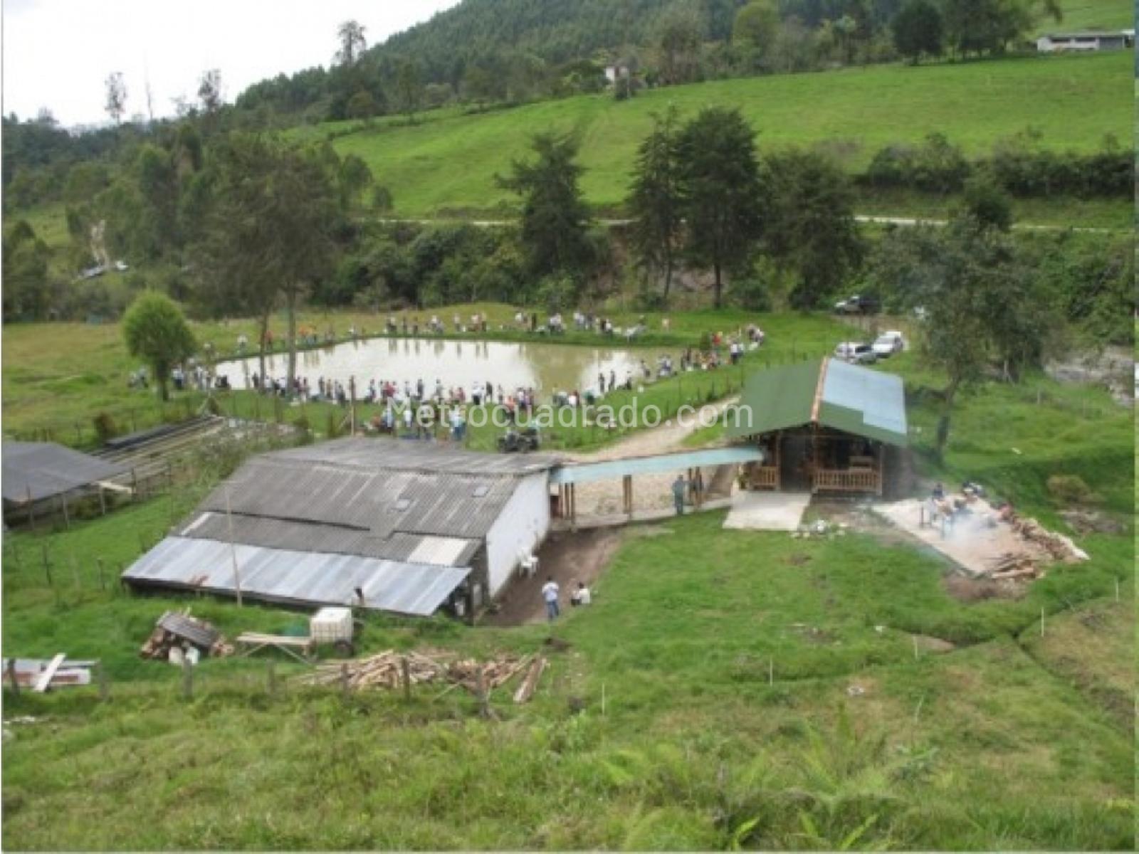 Venta de Finca en La sultana - Manizales - 18182-M5382446