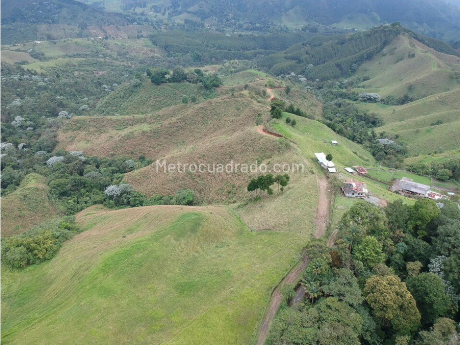 Venta de Casa lote en Autopista del cafe sentido armenia pereira ...