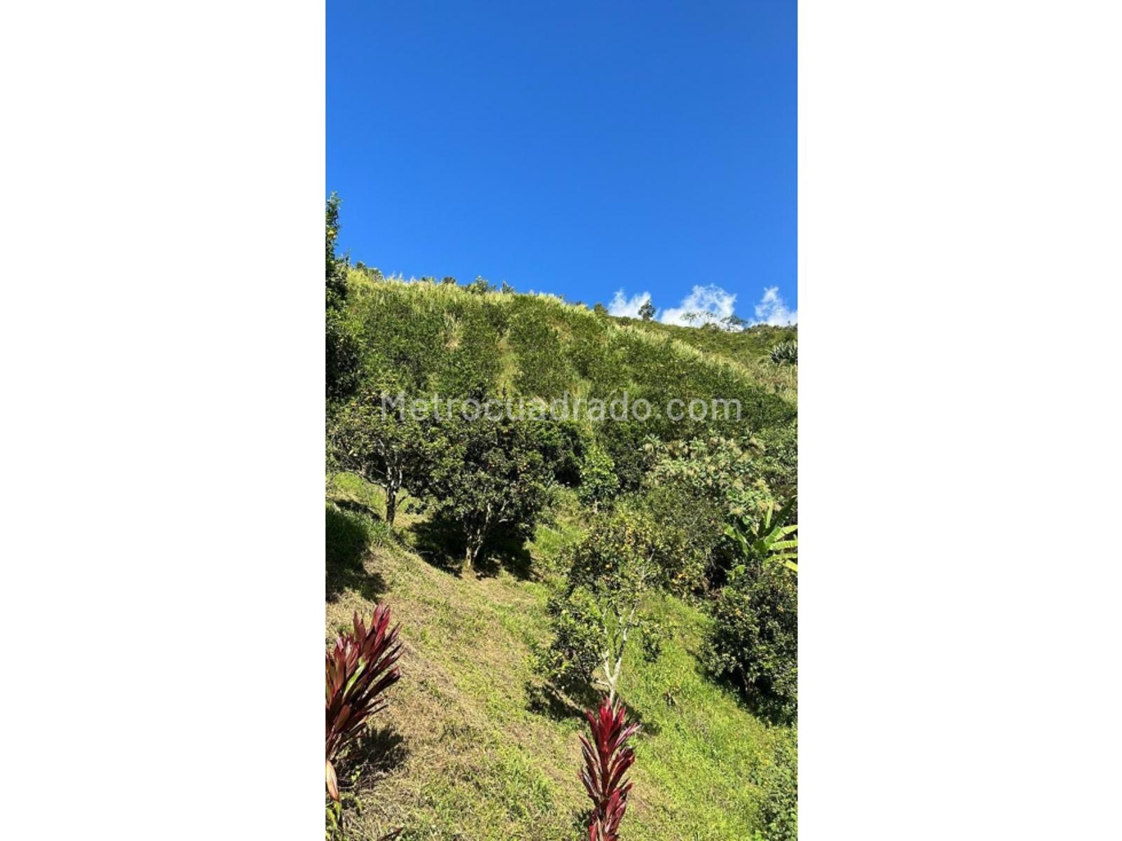 Venta de Finca en Santa rosa - Barbosa - 18184-M5388785