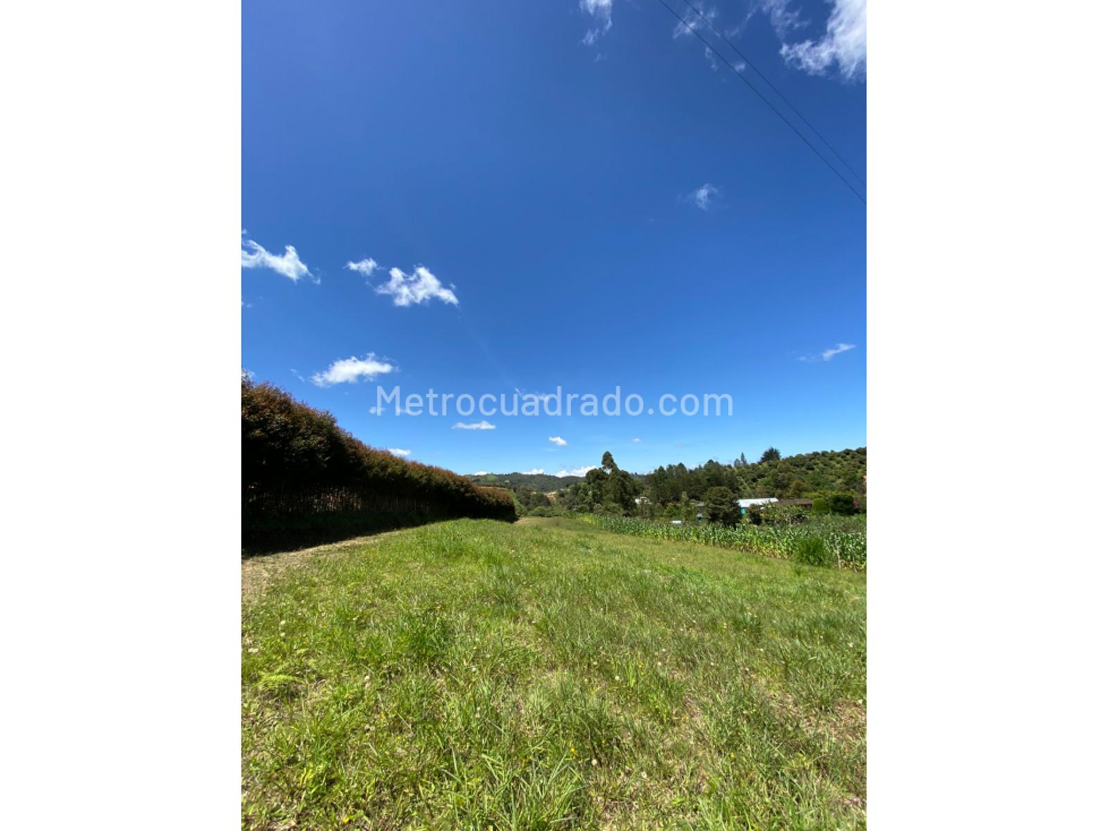 Venta de Lote en Vereda la enea - San Vicente - 19894-M5714815