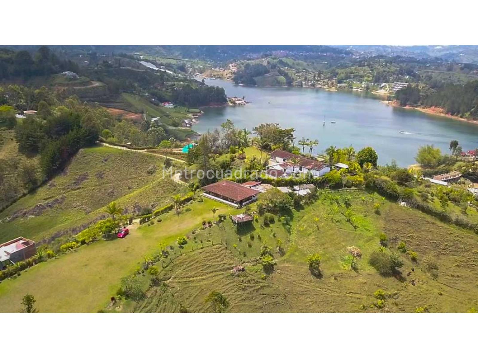 Venta de Finca en El peñol - Peñol - 2147-M4805258