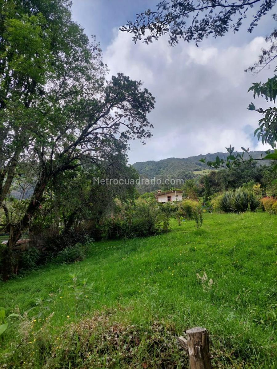 Venta de Finca en Subachoque - Subachoque - 2469-M4956790