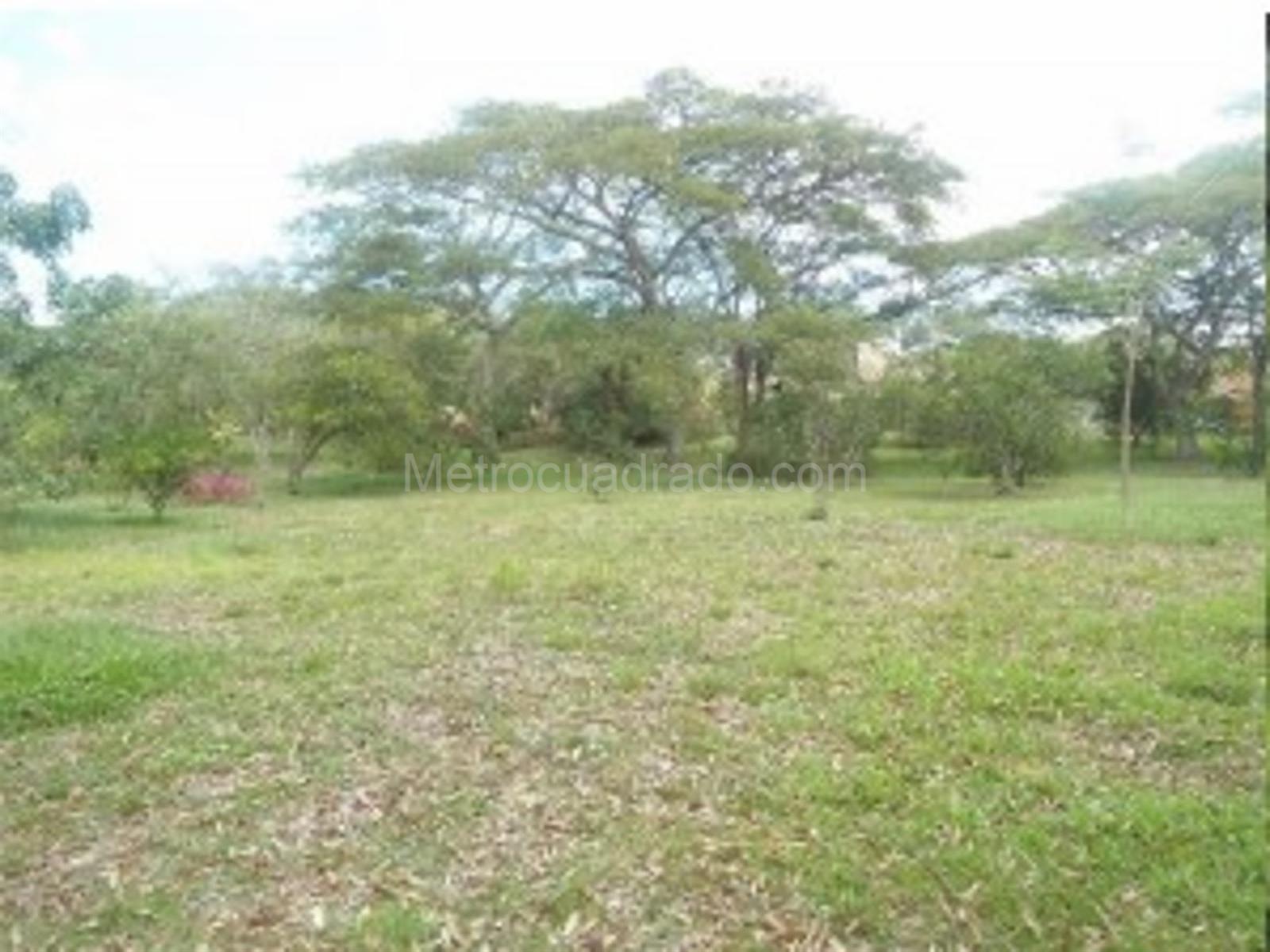 Venta de Casa lote en San rafael - Villeta - 2832-M2114558