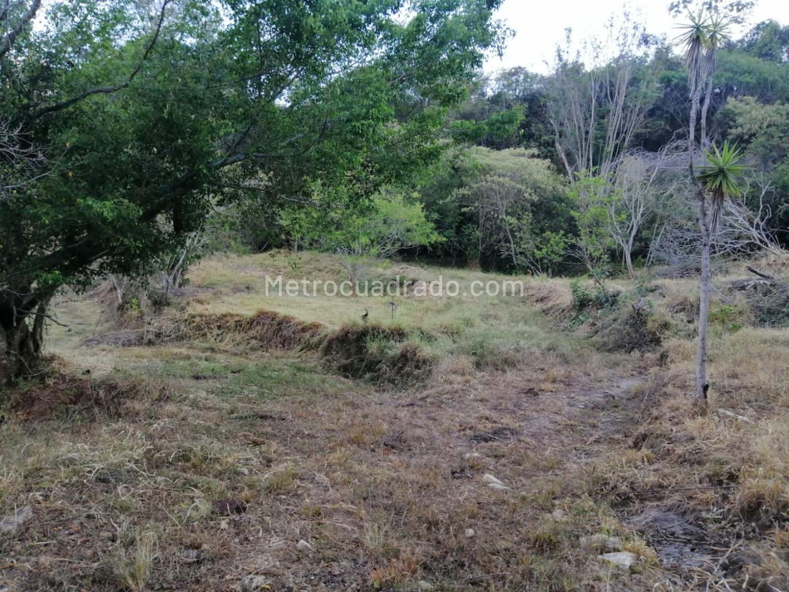 Venta de Finca en Nilo - Nilo - 3312-M4820172