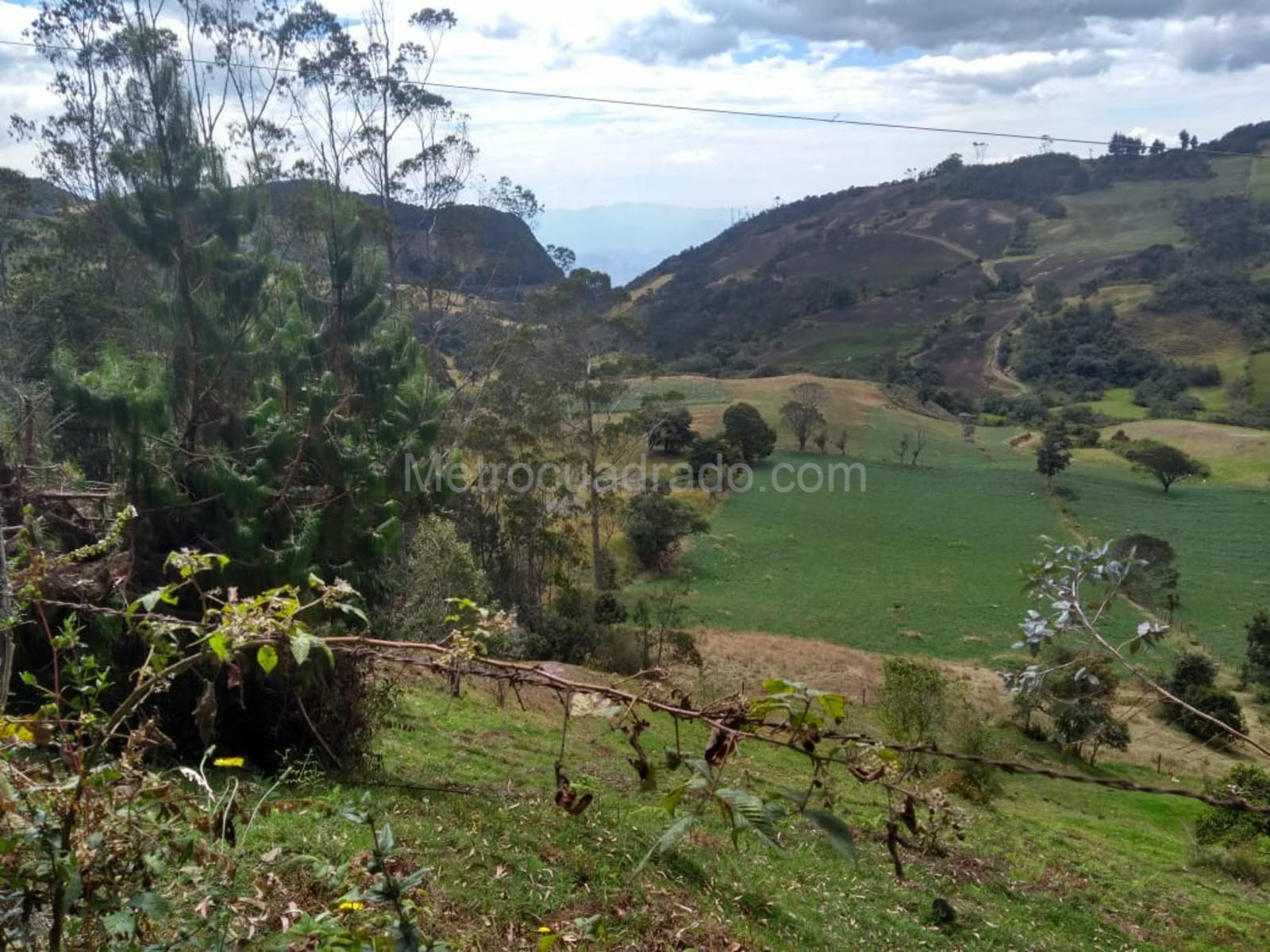 Venta de Finca en Subachoque vereda el paramo - Subachoque - 3553-M2503928