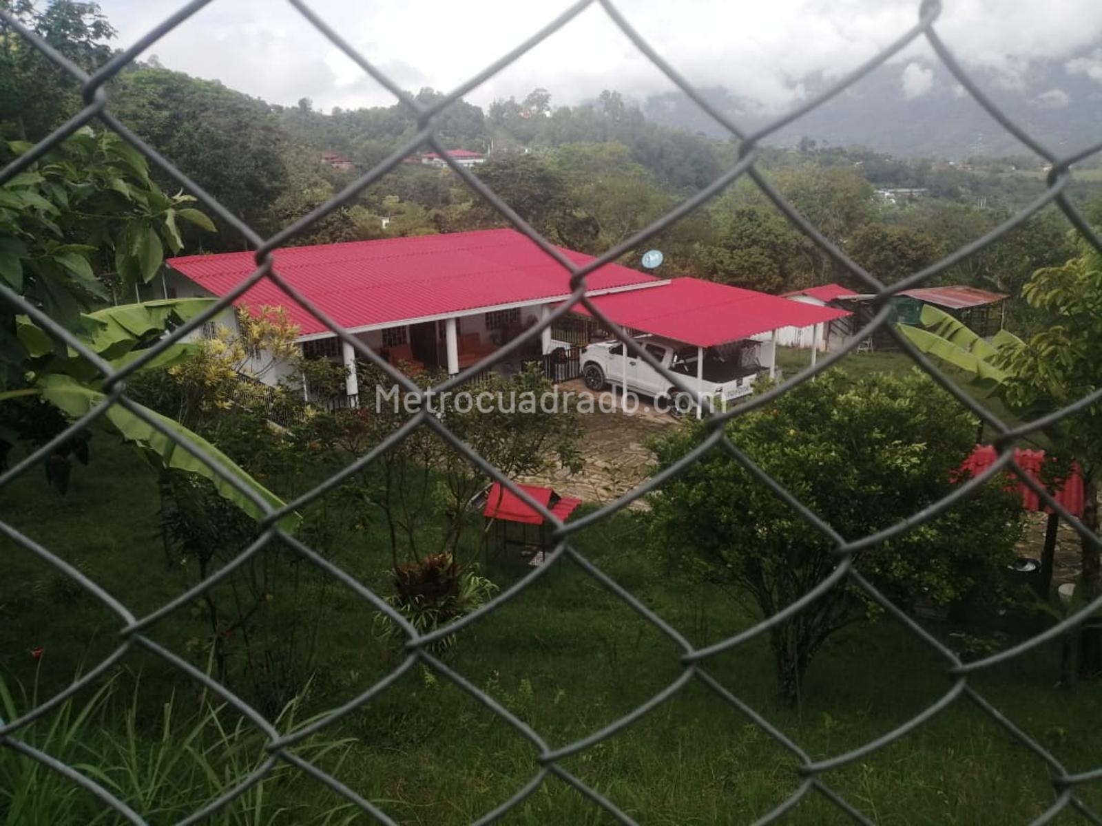 Venta de Finca en Fusagasuga vereda el cucharal - Fusagasuga - 3553-M4054350