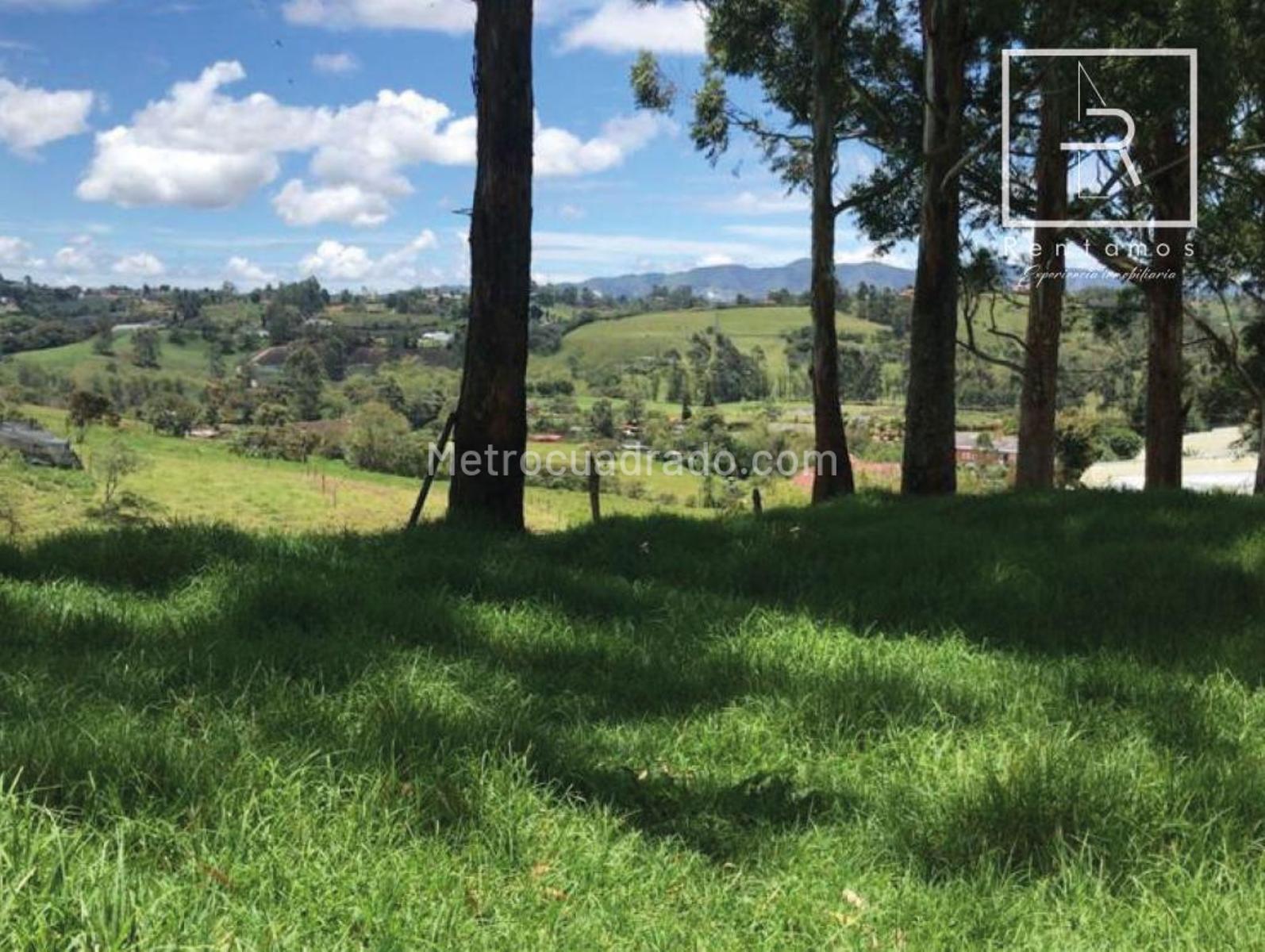 Venta de Lote o Casalote en Las garzonas - Rionegro - 4334-M4969814