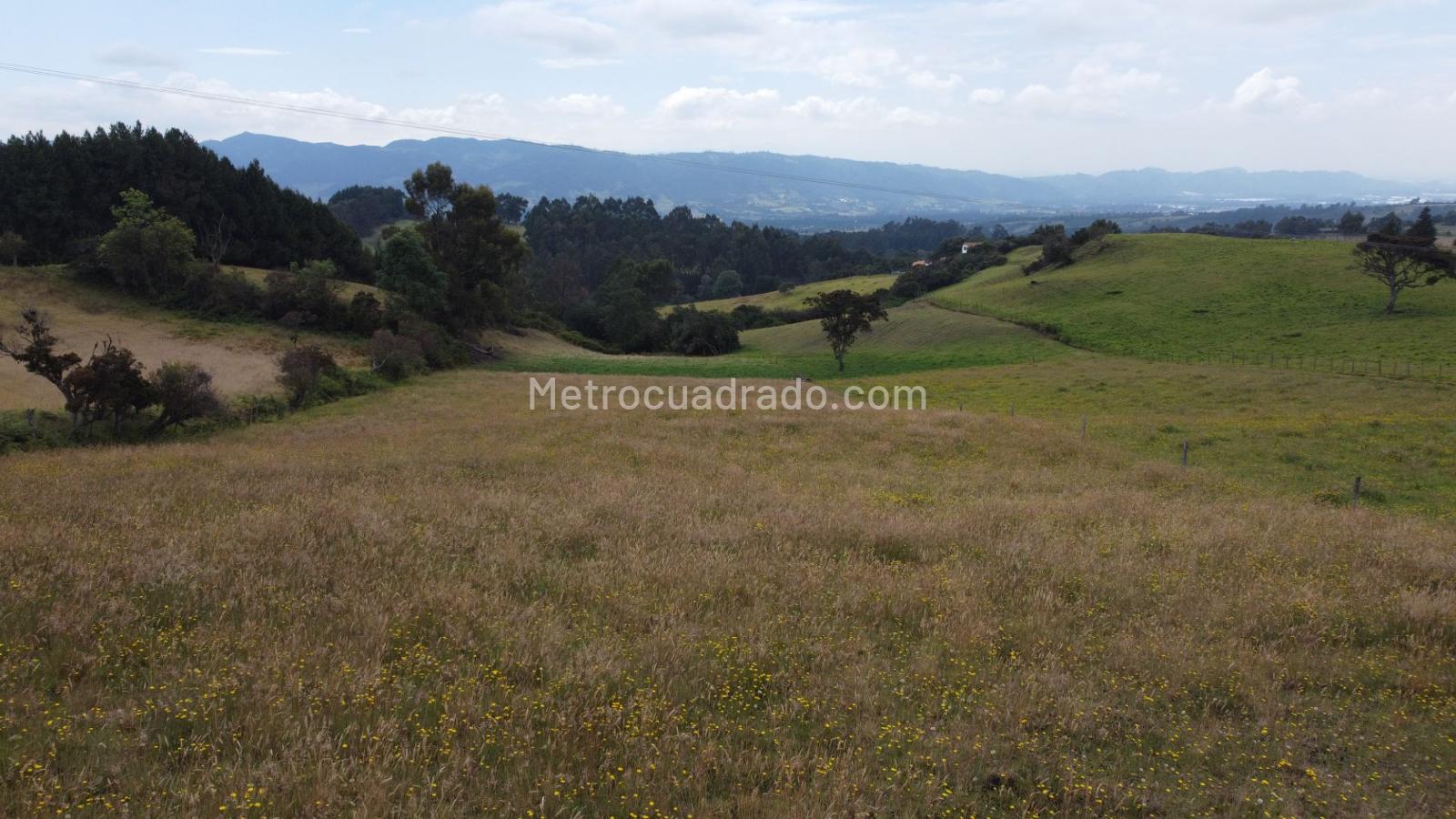 Venta de Lote en Via al alto del tablazo - Subachoque - 512-M5576845