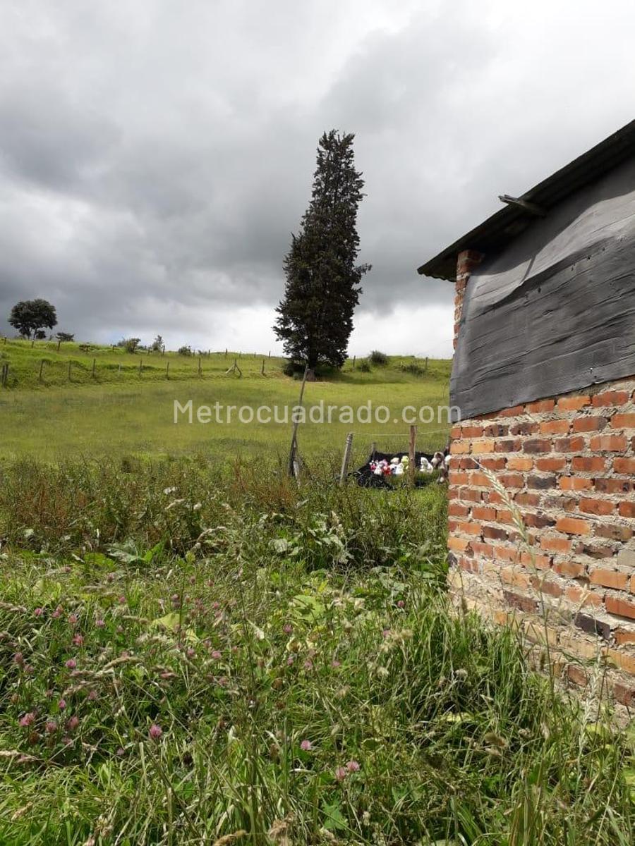 Venta de Casa lote en Cogollo - Nemocon - 515-M2686005