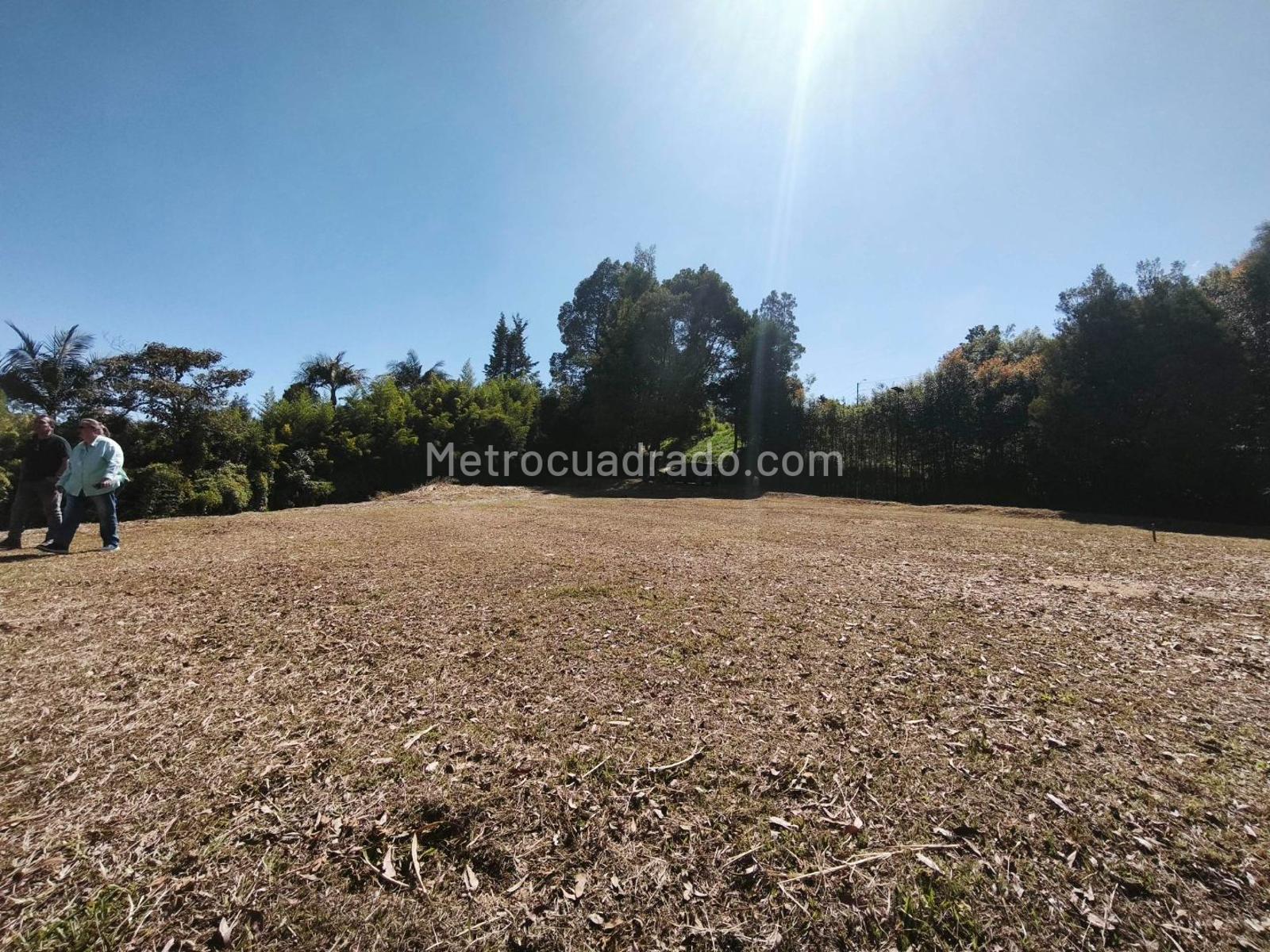 Venta de Lote en El tablazo - Rionegro - 5570-M5539590