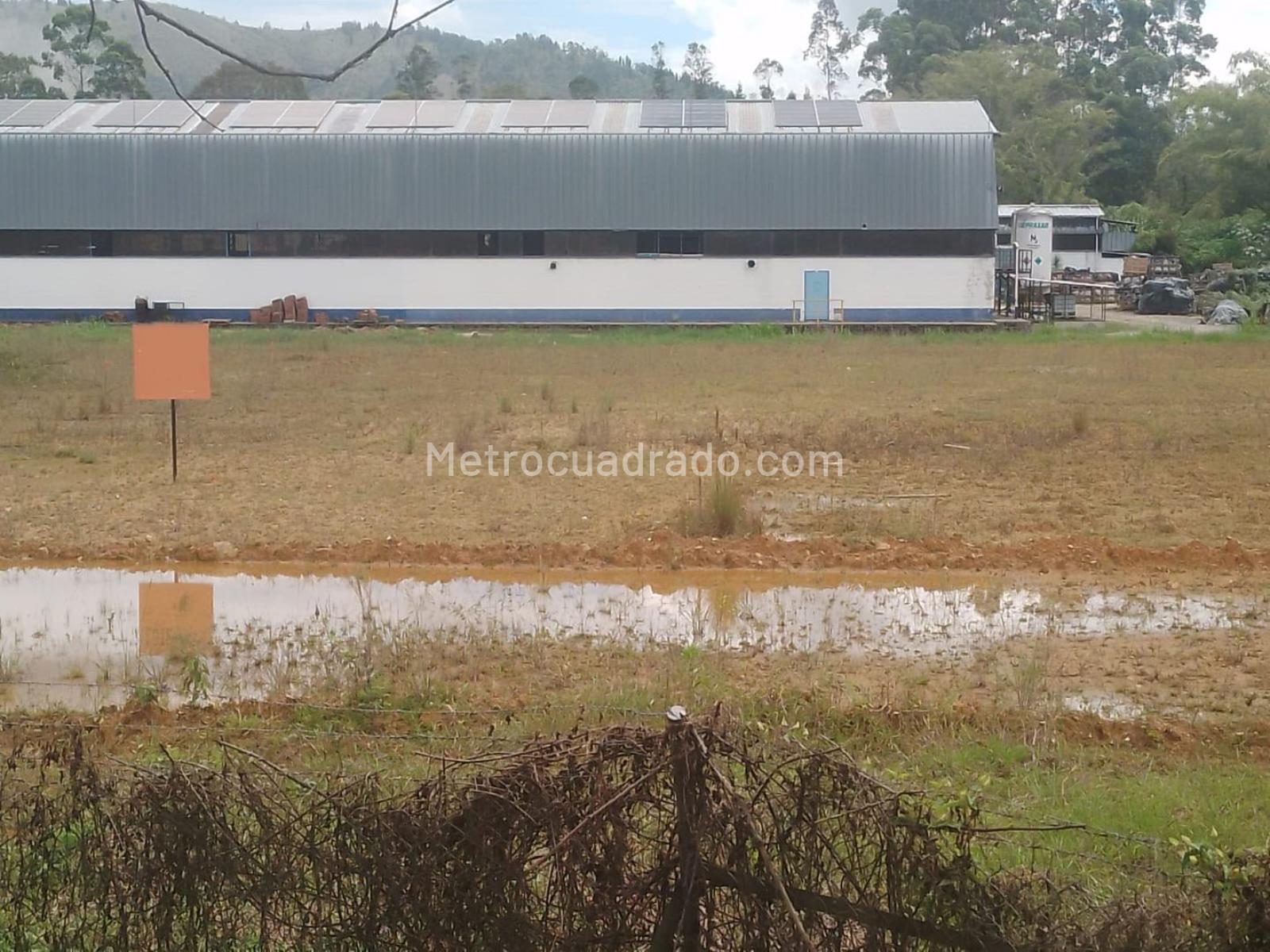 Venta de Lote o Casalote en Guarne - Guarne - 687-M4955283