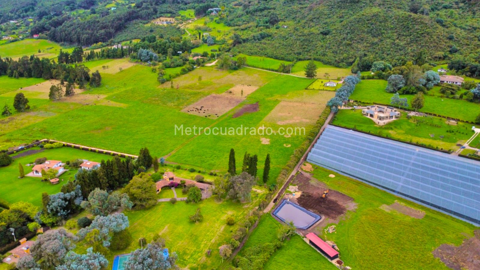 Venta de Casa lote en Meridor tenjo - Tenjo - 707-M4416323