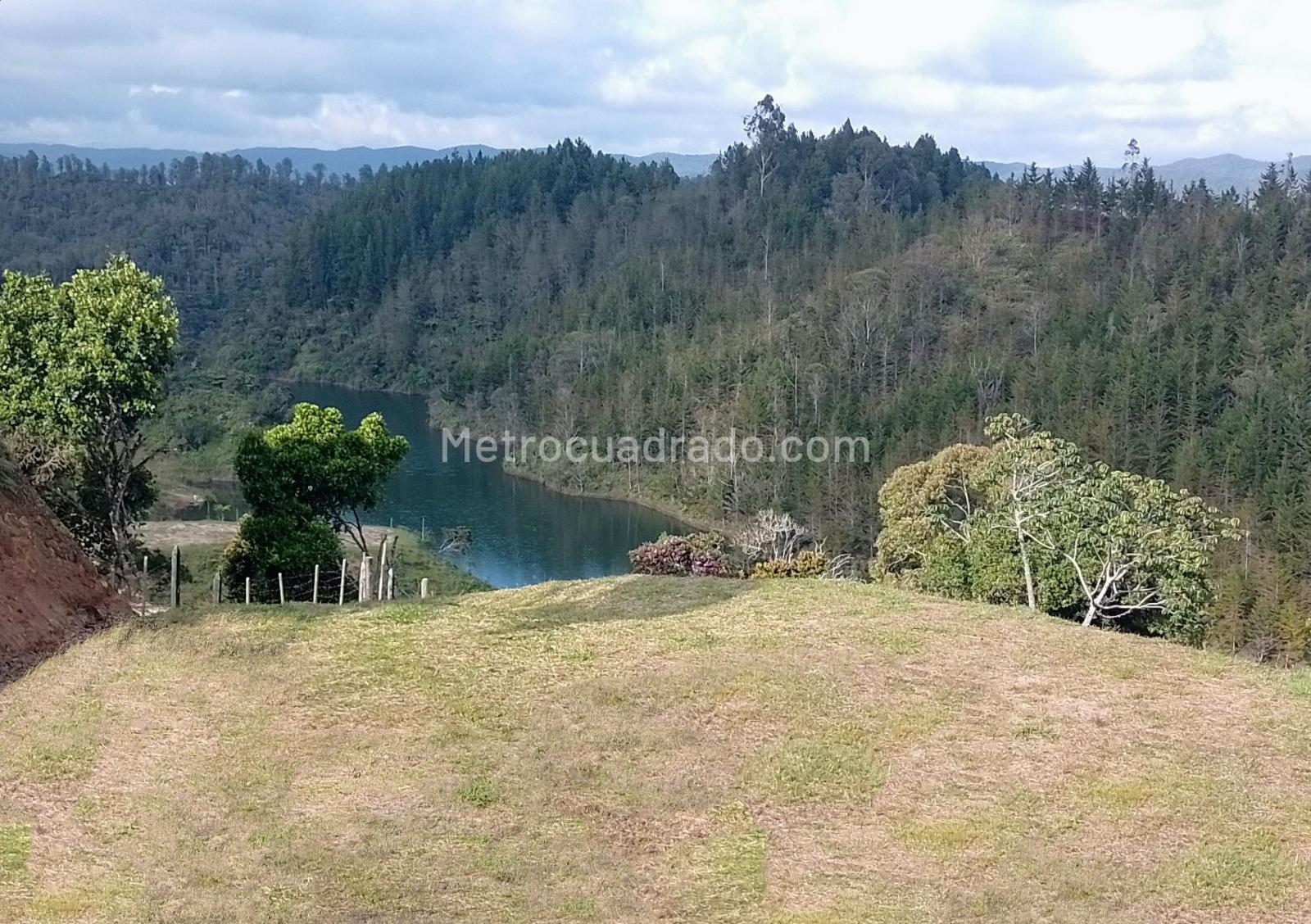 Venta de Lote o Casalote en Sector la capilla - Peñol - MC4651131