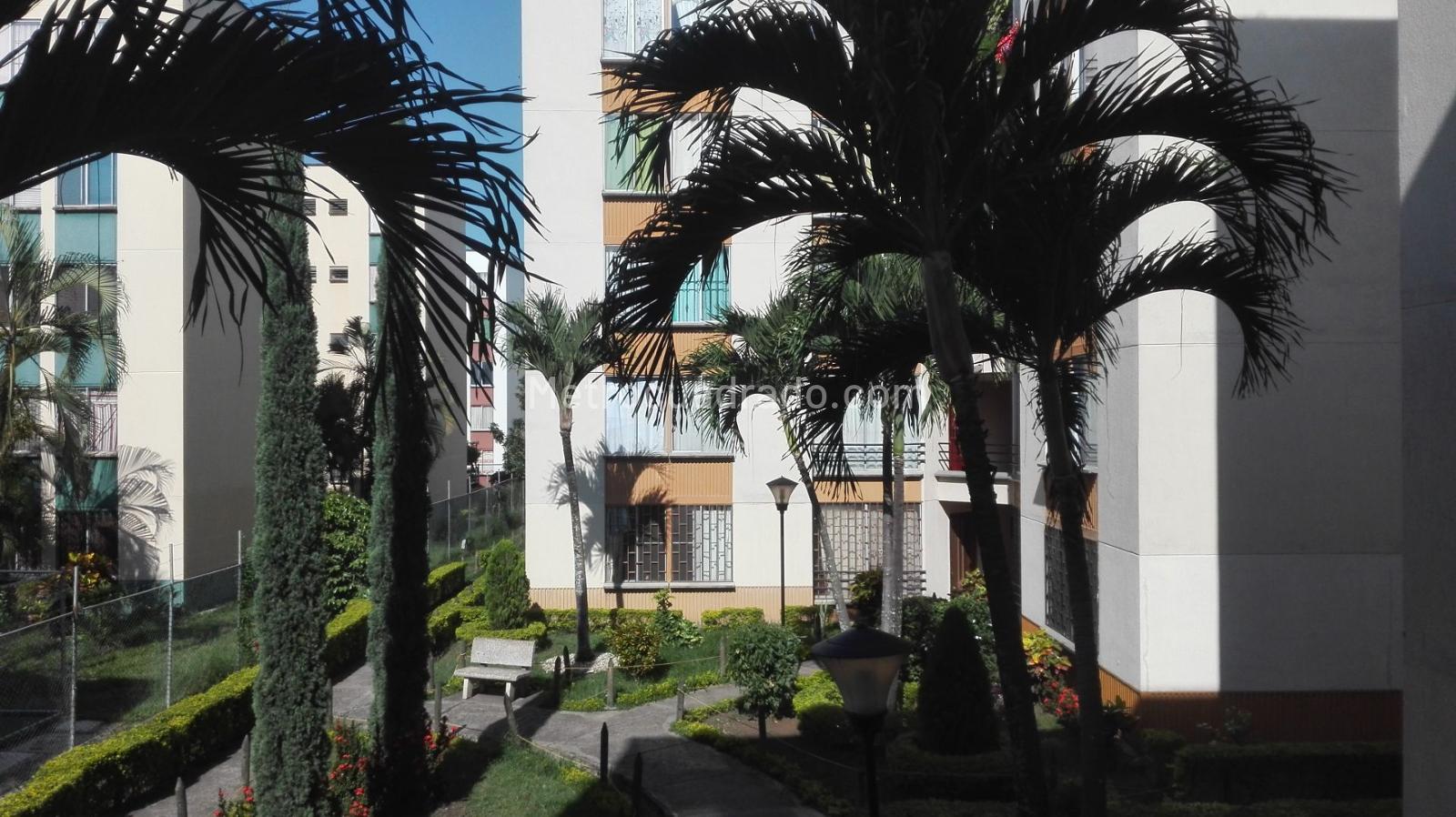 Arriendo de Apartamento en Sector calima la 14 norte - Cali - MC5756748