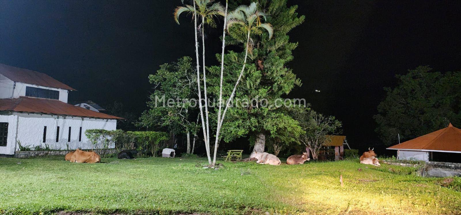 Venta de Finca en Navara club house - Timana - MC5858144