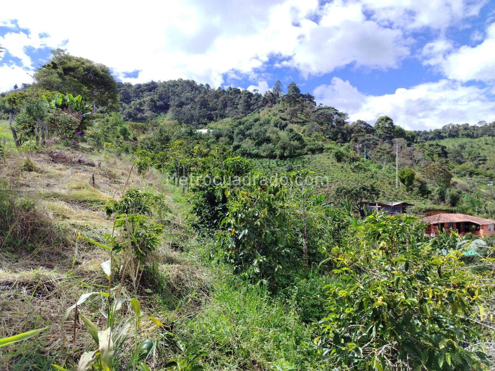 Venta de Casa lote en La helida - Peñol - MC6315680